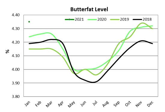 Kingshay Dairy Manager Latest Results