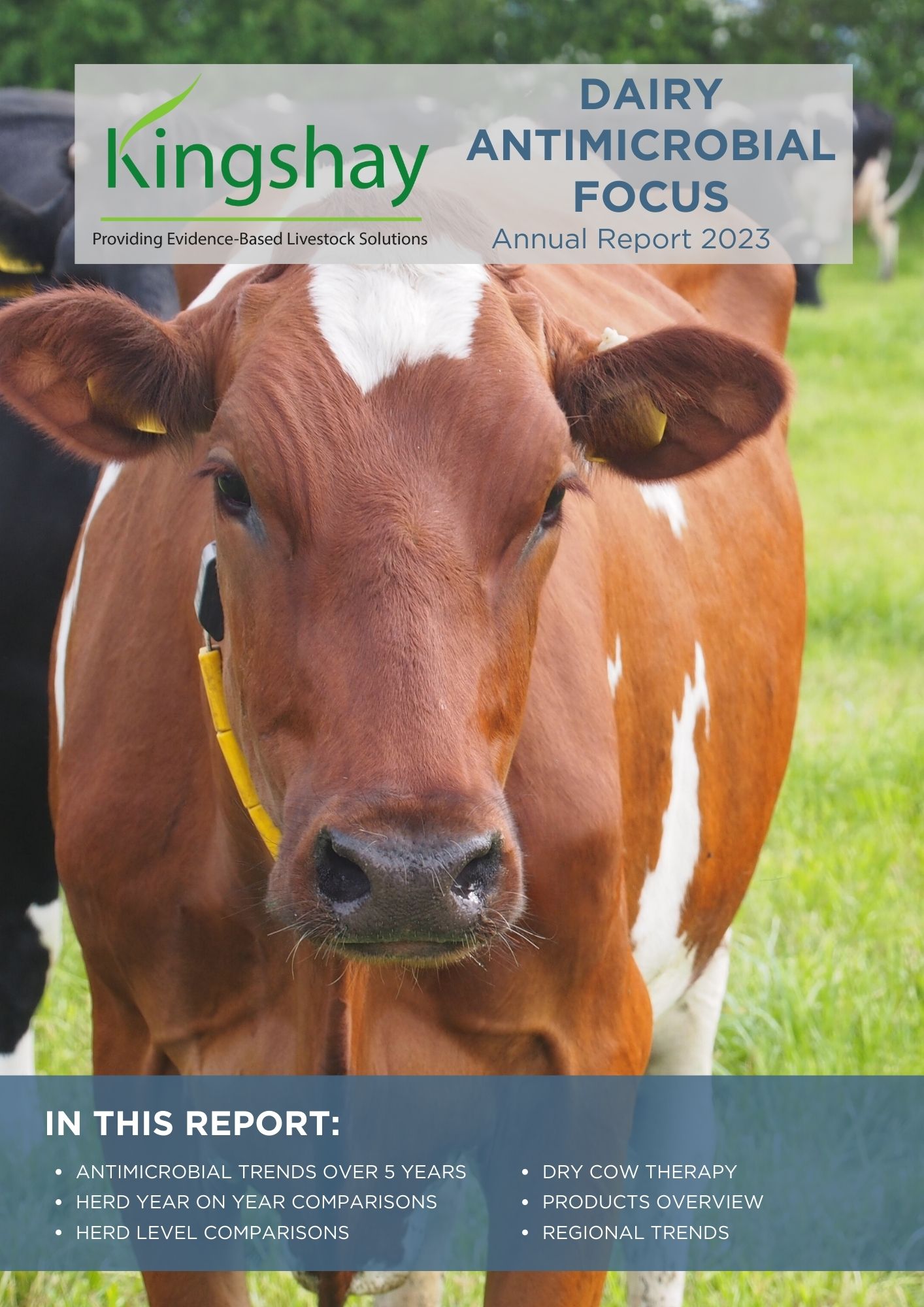 Kingshay Antimicrobial Focus Report 2023 - Kingshay